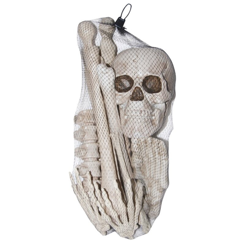 Bag of Bones 12 Assorted Bones in Bag – Caufield's Novelty